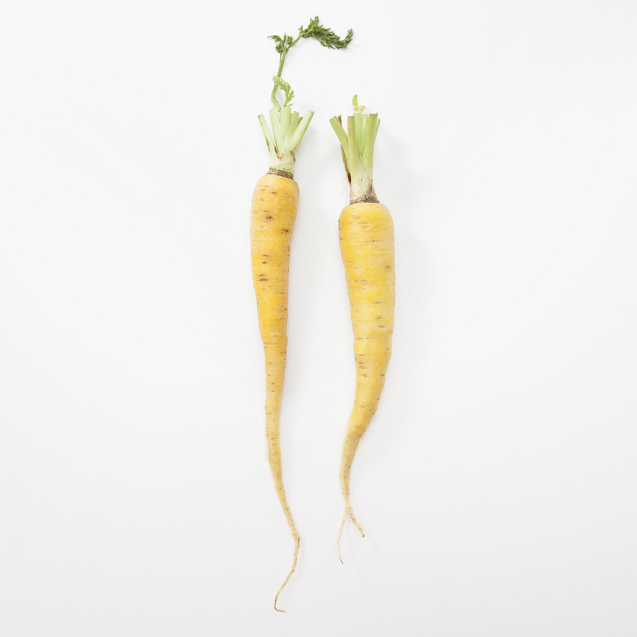 宮古島産 Sumaya Natural Farmの「島人参」（農薬：栽培期間中不使用）約1kg | 無印良品