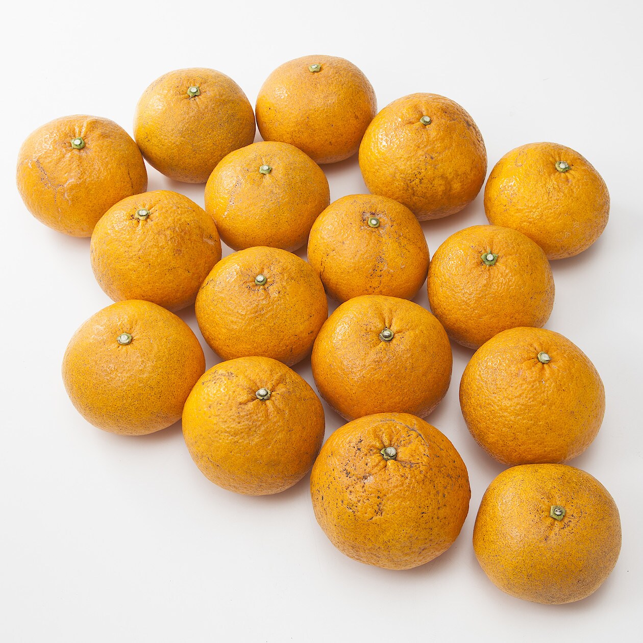 無茶々園の甘夏 小玉・約5kg | 無印良品