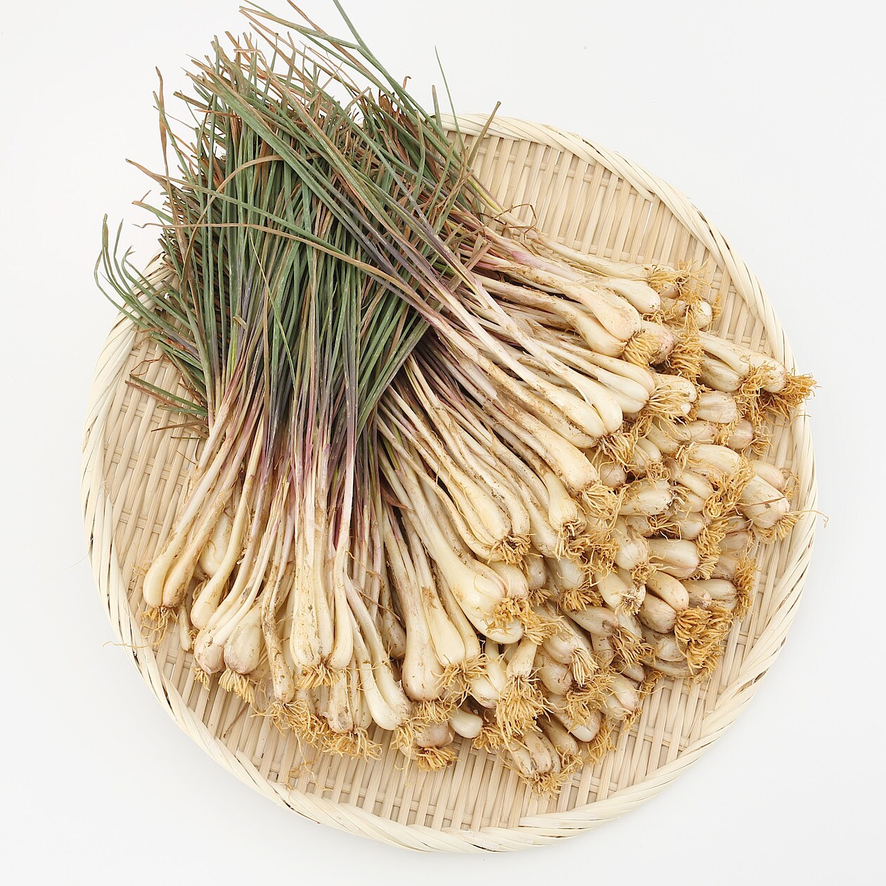 宮古島産 Sumaya Natural Farmの「島らっきょう」（農薬：栽培期間中不使用）約1kg | 無印良品