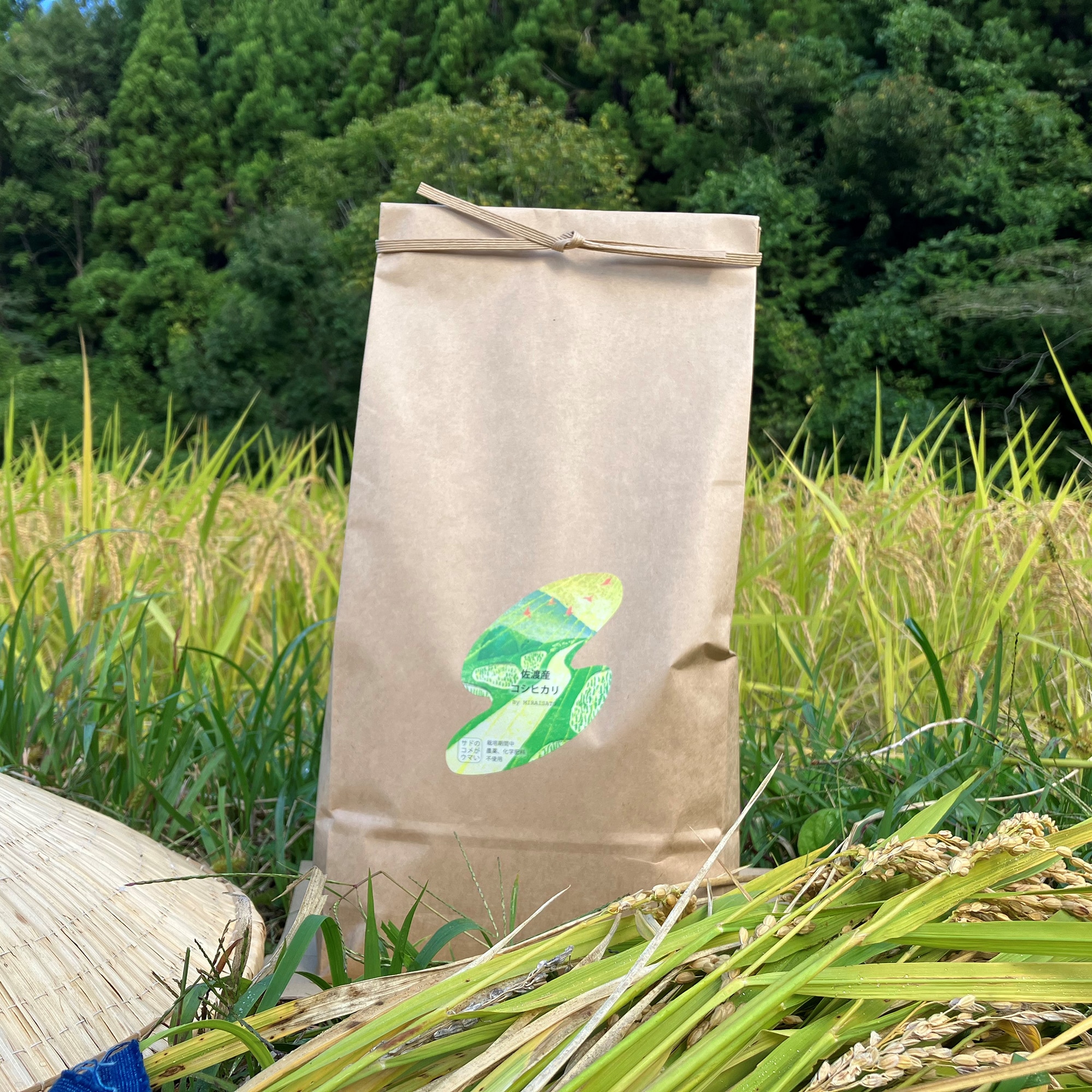 佐渡産 ミライサト 山あいの棚田米 天日干し「コシヒカリ」5kg | 無印良品