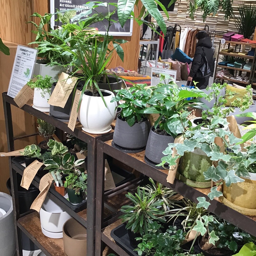 【MUJI新宿】毎週金曜日入荷のGREEN入荷速報｜無印良品 新宿靖国通り